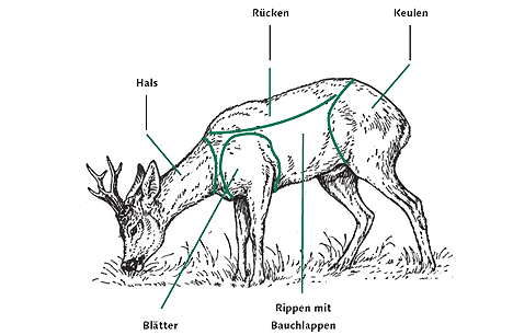 Verwertbare Teilstücke | Wild auf Wild